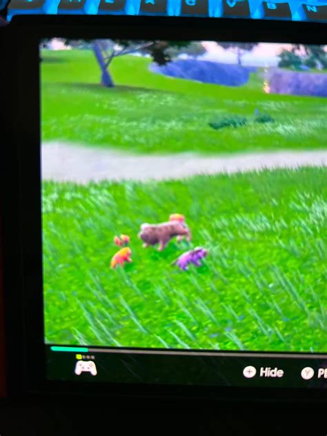 [9] Shiny Floatzel In Outbreak Found Her Under A Tree R Shinypokemon