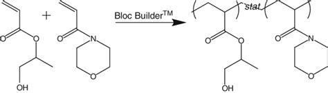 Scheme 8 Schematic Representation Of The Synthesis Of Statistical