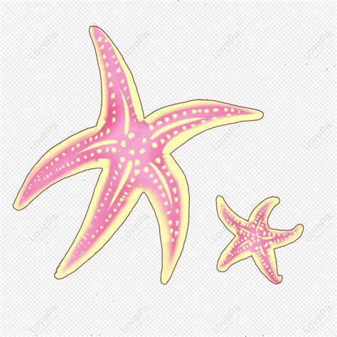 Pink Starfish Png Free Download And Clipart Image For Free Download