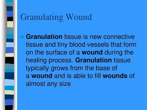 The Integumentary System Ppt Download