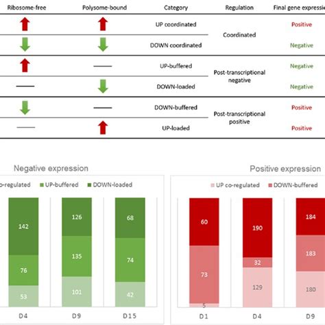 polysome bound rna seq revealed massive regulation of developmental download scientific diagram