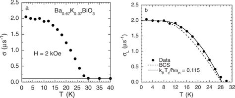 A Temperature Dependence Of The Depolarization Rate For Ba 063 K 037