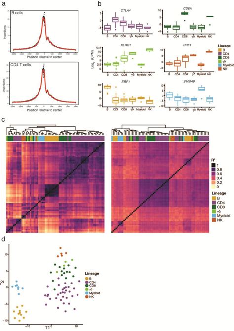 Overview Of ATAC Seq And RNA Seq Data A Enrichment Of ATAC Seq Reads Download Scientific