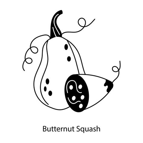Premium Vector A Hand Drawn Icon Of Butternut Squash