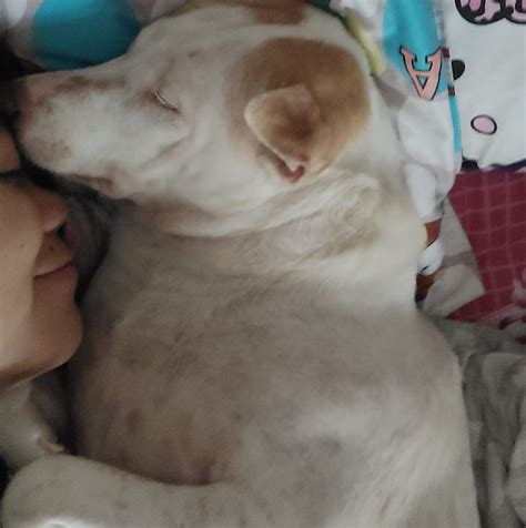 သူ ဌေး တွေ စိတ် ကျေနပ် အောင် သေချာ လေး မောင်းပြရ သေး 😂 ကို လပ်ကီး By Roze Mary Facebook