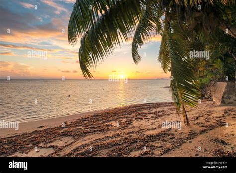 Palm Trees On Tropical Beach At Sunset Summer Vacation And Travel
