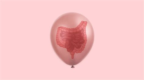 Dieta Low Fodmap Przewodnik Dla Pacjenta I Darmowy Jadłospis