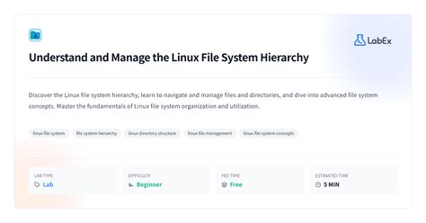 Understand And Manage The Linux File System Hierarchy Labex
