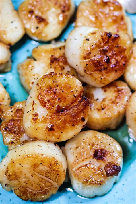 How Do You Cook Frozen Bay Scallops At Mary Darling Blog