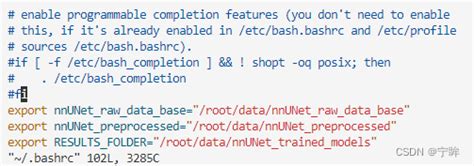 nn unet使用记录 开箱即用 nnunet github 官网 csdn博客