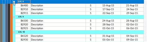 Primavera P6 Expand And Collapse Grouping Bars Logicallylinked