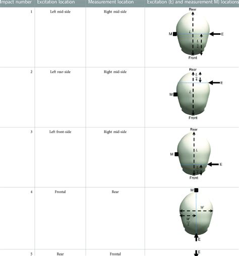 Definition Of Excitation And Measurement Locations Used To Investigate Download Scientific