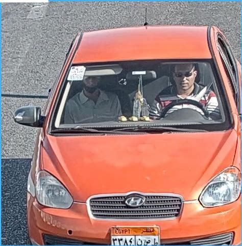 Sb Ph Object Detection Dataset By Hanysabeh