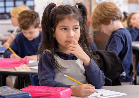 Cross Linguistic Connections