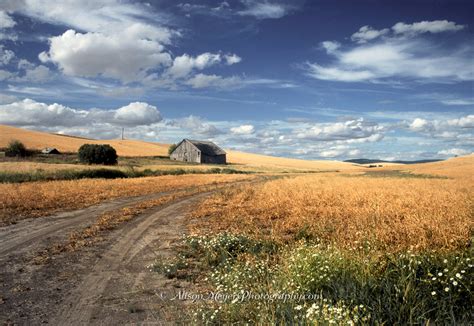 The Old Tucker Barn Moscow Idaho