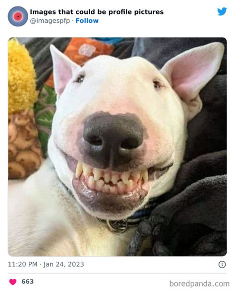 30 Of The Weirdest And Funniest Pics Shared On The Images That Could