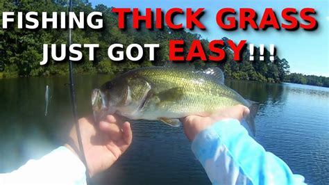Weedless Lures That Are Catching Big Bass Bass Manager The Best
