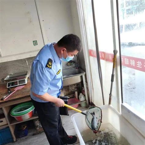 【分局动态】打好组合拳 永宁分局持续推进长江禁渔工作监管相关宣传