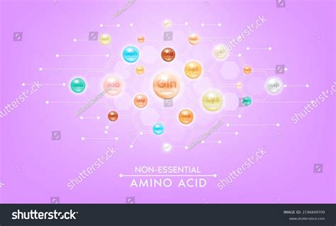 Non Essential Amino Acid Body Capsules Stock Vector Royalty Free