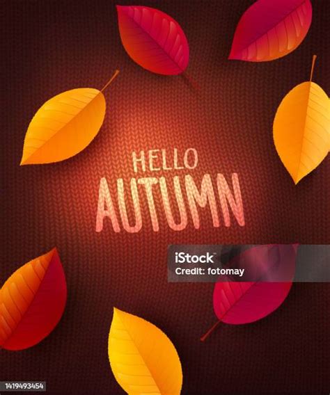가을 포스터 또는 니트 스웨터 배경에 화려한 가을 단풍이있는 배너 템플릿 가을과 가을 시즌 개념에 대한 인사와 선물 0명에 대한 스톡 벡터 아트 및 기타 이미지 Istock