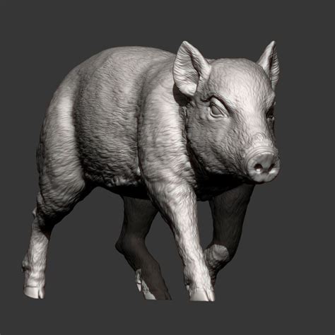 3d Printable Small Boar By Alexander3dart