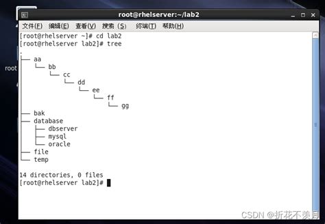 使用Shell终端访问Linux