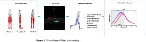 Table 1 From Simulation Of Lower Limb Muscle Activation Using Running Shoes With Different Heel