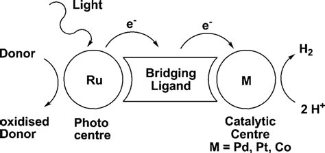 General Structure Of Bimetallic Complexes For Proton Reduction Download Scientific Diagram
