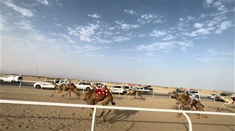 ٤ جلمود ملك محمد بن علي بن حمد الفهيده Youtube