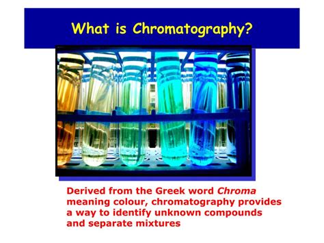 PPT What Is Chromatography PowerPoint Presentation Free Download ID