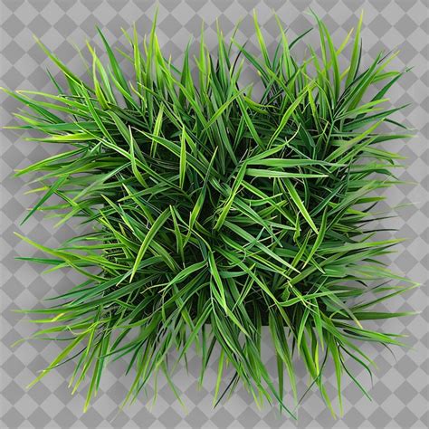 Nimblewill Grass With Sage Green Branches And Aqua Mixed Gra Png Green