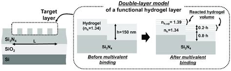 A Silicon Based Grating Waveguide Refractive Index Ri Sensor And Download Scientific Diagram