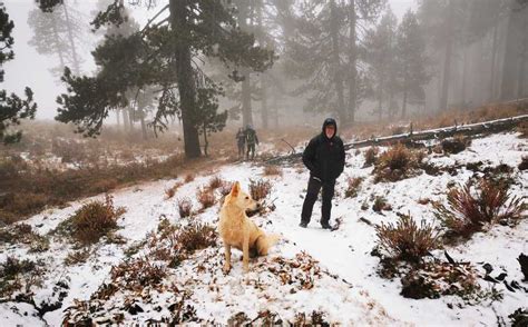 Nuevo León Se Registra Primera Nevada En El Cerro Del Potosí Grupo