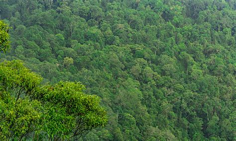 Sustainable Ecosystem Background Images Hd Pictures And Wallpaper For Free Download Pngtree