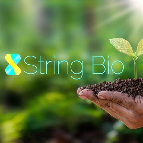 Biotech Startup String Bio Raises 20mn In Funding Business Outreach