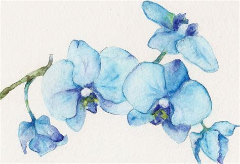Drawings Of Blue Flowers At Sara Powell Blog