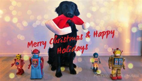 Kathrina Baumann On Linkedin Rpa Roboticprocessautomation Uipath Intelligentautomation