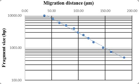 A Standard Curve Dna Marker Fragment Size Vs Migration Distance Download Scientific Diagram