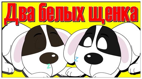 Два белых щенка Новые песенки Развивающая детская песенка Youtube