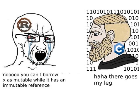 Borrow Checker Programmingdev