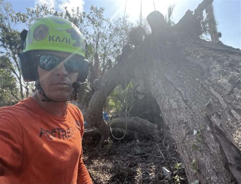 Emergency Tree Service Florida Tree And Ground Maintenance
