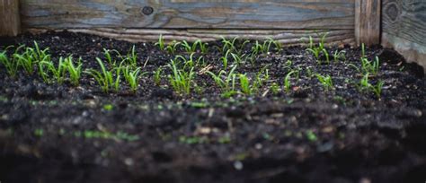 Maturity Levels Of Using Github Actions Securely Xebia