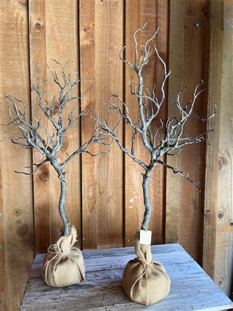 Matching Trees Blue Moon Rummage