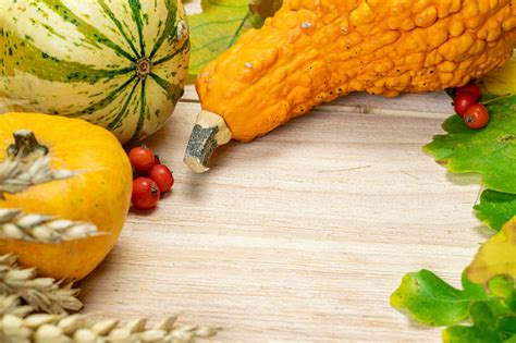 메이플 리프 가을 밀 곡물 귀 오렌지 호박 가을 말린 잎 붉은 열매와 도토리 나무 배경에 밤과 자연 수확 할로윈 추수 감사절 또는 계절 가을 10월에 대한 스톡 사진 및