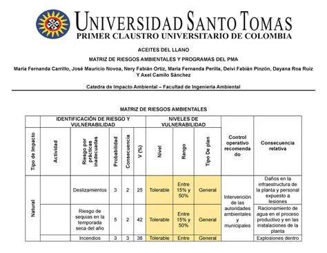 Matriz De Riesgos Y Oportunidades Ambientales Image To U