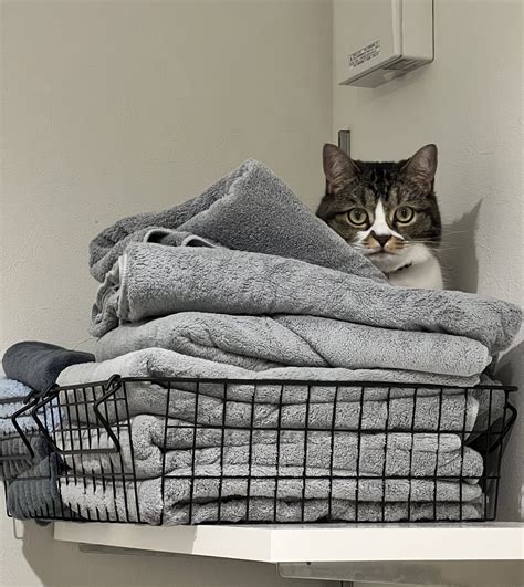 Nanase Alice Alice Nanase