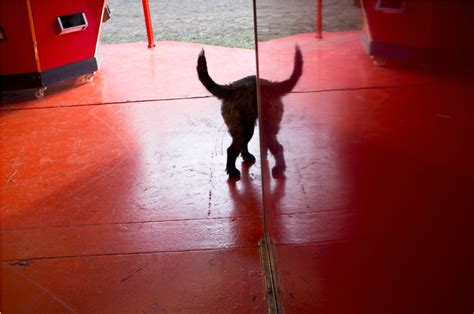 Kissing Eyes Magazine Alan Thoburn