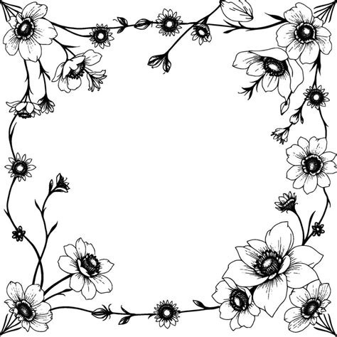 Intricate Black And White Floral Border Featuring Various Blossoms