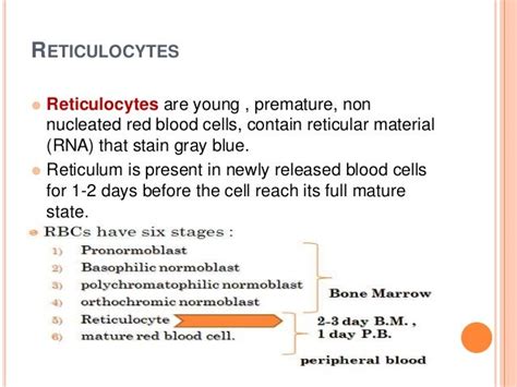 Reticulocyte Count Reticulocyte Count