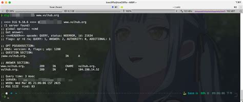 关于 Dns 的原理，这里不在做说明，你只需要知道他是 53 Udp 端口即可，以及 Wireshark 走的协议是什么样的。 详解